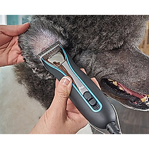 Oster A6 Cool Comfort Heavy Duty Pet Grooming Clippers with Detachable CryogenX #10 Blade, 3 Speed, Aqua Sky (078006-000-000),Black,1.75 x 1.88 x 6.90 inches
