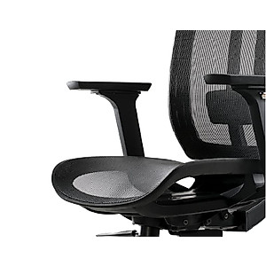 Ergonomic Office Chair with Adjustable 4D Armrest Headrest & Lumbar Support, High Back Mesh Computer Chair for Home and Office