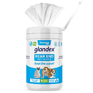Dentabliss Dog Dental Wipes Finger Mitts 50ct Plus Glandex for Dogs Anal Gland Support Chews 30ct & Glandex Anal Gland Hygienic Pet Wipes 75ct Daily Health & Hygiene Pet Essentials Bundle