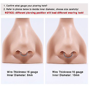 FANSING Grade 23 Titanium Daith Earrings for Women 16 Gauge Helix Cartilage Ear Piercing Hoop 10mm Septum Jewelry Silver Hinged Septum Nose Rings 16g Clicker