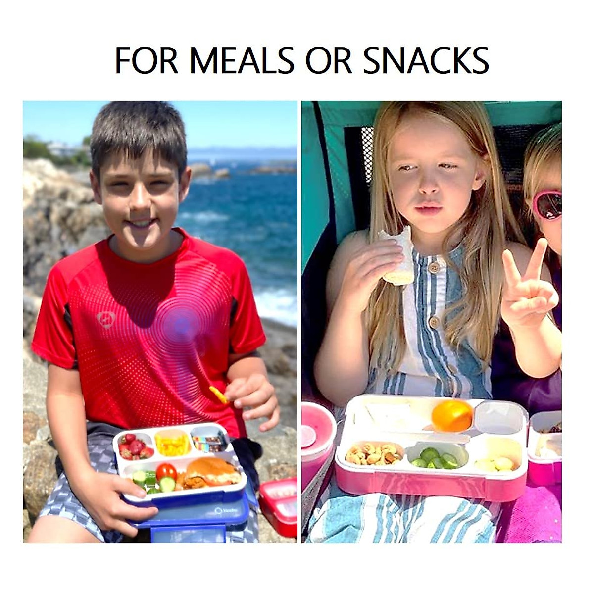 Bento Lunch-Box for Kids and Adults: Leakproof Lunch Boxes with 4 Compartments, Divided Containers for Boys Girls Women Men - School Work Portion Container, Utensils, Blue + Rose Pink Set