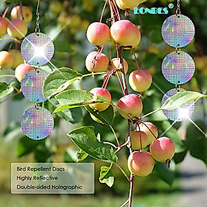 Holographic Reflective Bird Scare Discs for Woodpeckers and Pigeons, Bird Reflectors Scarer, Keep Birds Away, 24 Round Disks