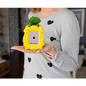 BoxLunch Friends Peephole Frame Faux Succulent Planter
