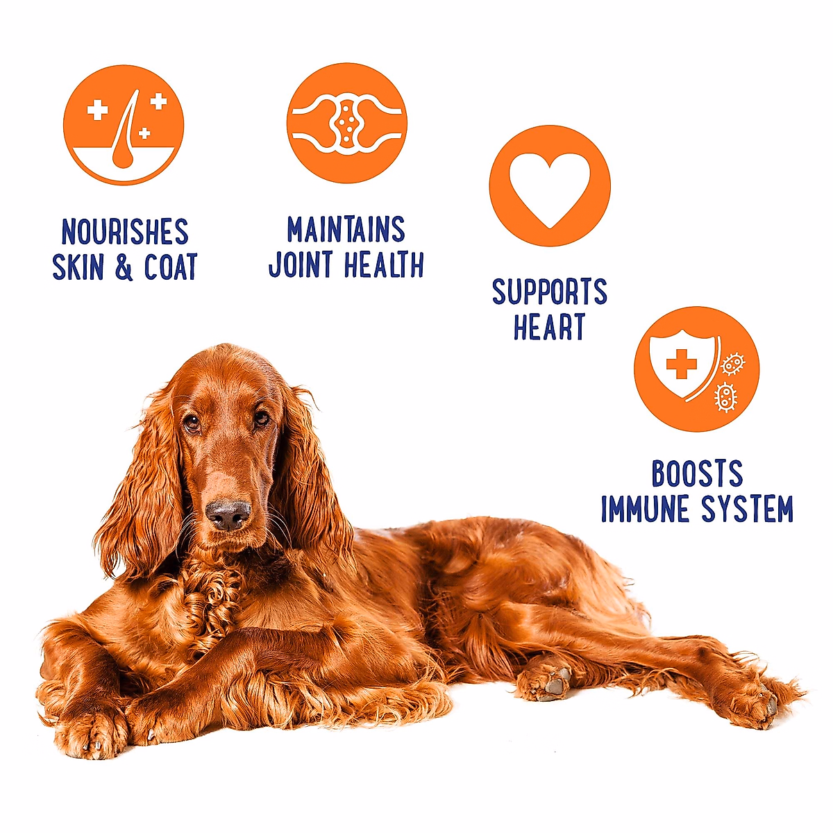 iHeartDogs Salmon Oil for Dogs and Cats - Nourishing Skin & Coat Omega 3 Fish Oil for Dogs Supports Allergy & Itch Relief, Heart Health and Joint Health - 32 oz