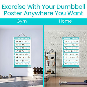 Vive Dumbbell Workout Poster - Home Gym Exercise for Upper, Lower, Full Body - Laminated Bodyweight Chart for Back, Arm, Core and Legs - Free Weight Building Guide For Men, Women, Elderly (30" x 17")