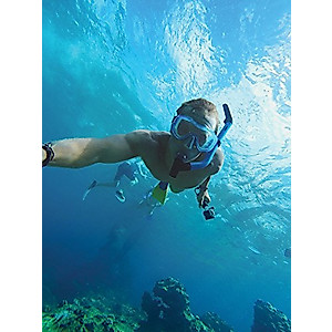 GoPro The Handler Floating Hand Grip (GoPro Official Mount)