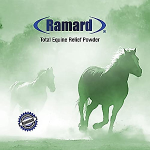 Ramard Total Equine Relief - Total Equine Supplement to Care for Joint & Tendon Health, Horse Feed to Address Swelling & Discomfort, Supplement for Horses' Performance, 1 Jar Apple Flavor (4.5 oz).
