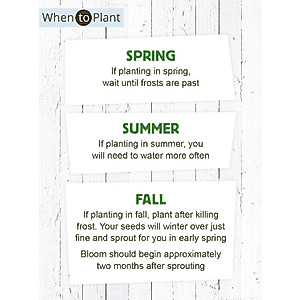 American Meadows Wildflower Seed Packets ''Bee The Change'' Party Favors (Pack of 20) - Pollinator Wildflower Seed Mix to Attract Hummingbirds, Bees, and Butterflies, Party Favor for Any Occasion