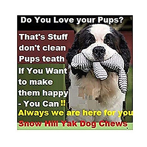 Snow Hill Natural Himalayan Yak Milk Dog Chews | XL 10 Pieces Bulk Pack Long Lasting, Odor Stain Gluten GMO Free Protein-Rich Treat for improved Oral Health | Yaky Cheese Treats for Crazy Chewer