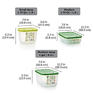 Tupperware Fridgesmart 4 Piece Food Storage Container Set, Dishwasher Safe and BPA Free (4 Containers, 4 Lids)