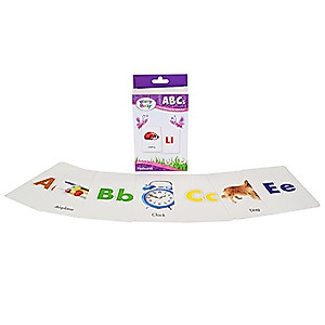 Brainy Baby ABCs Introducing the Alphabet A to Z Deluxe Edition - DVD, Board Book and Flashcards: Set of 3