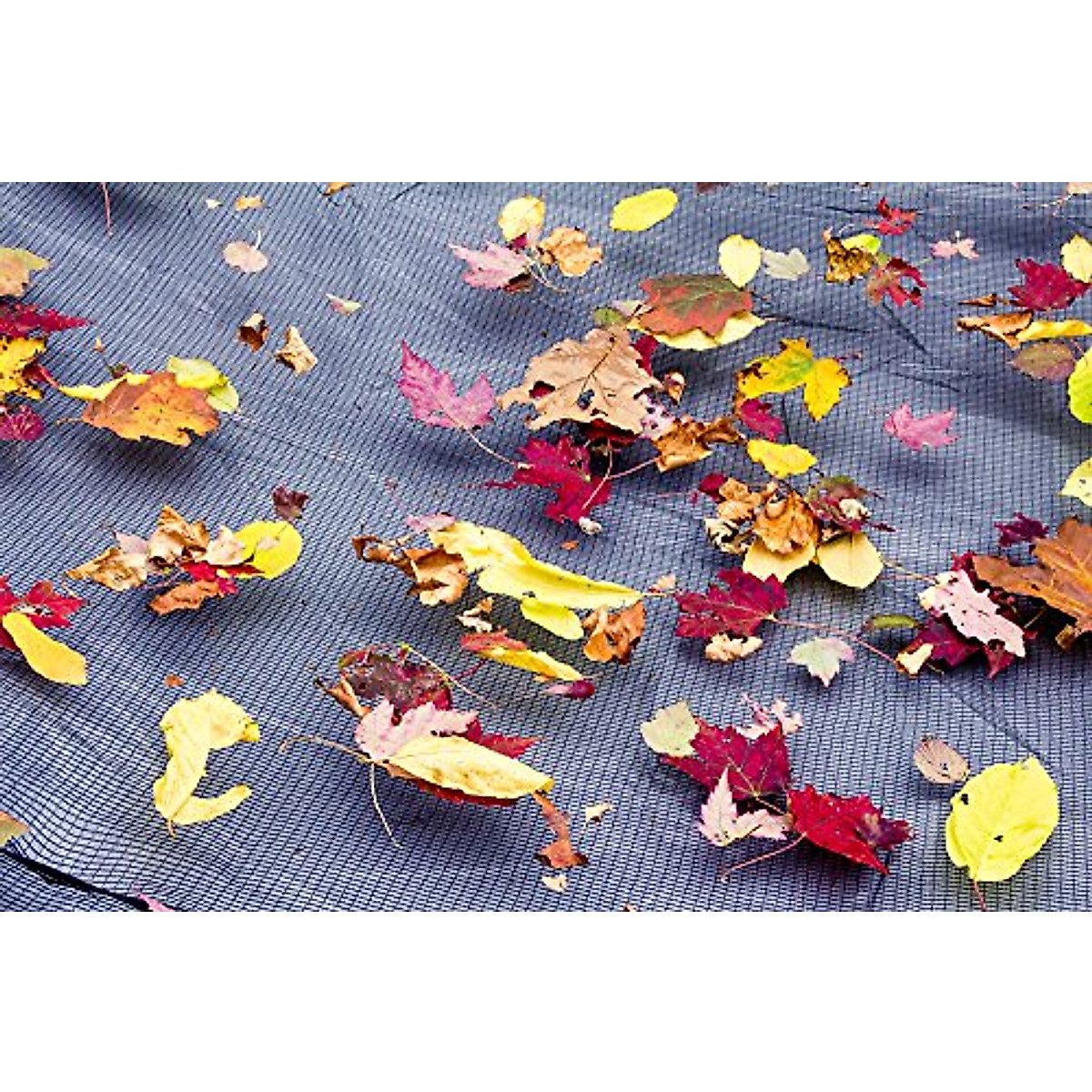 Pool Mate 451836R-PM Ground Pool Leaf Net, 18 x 36-ft, 2. Premium