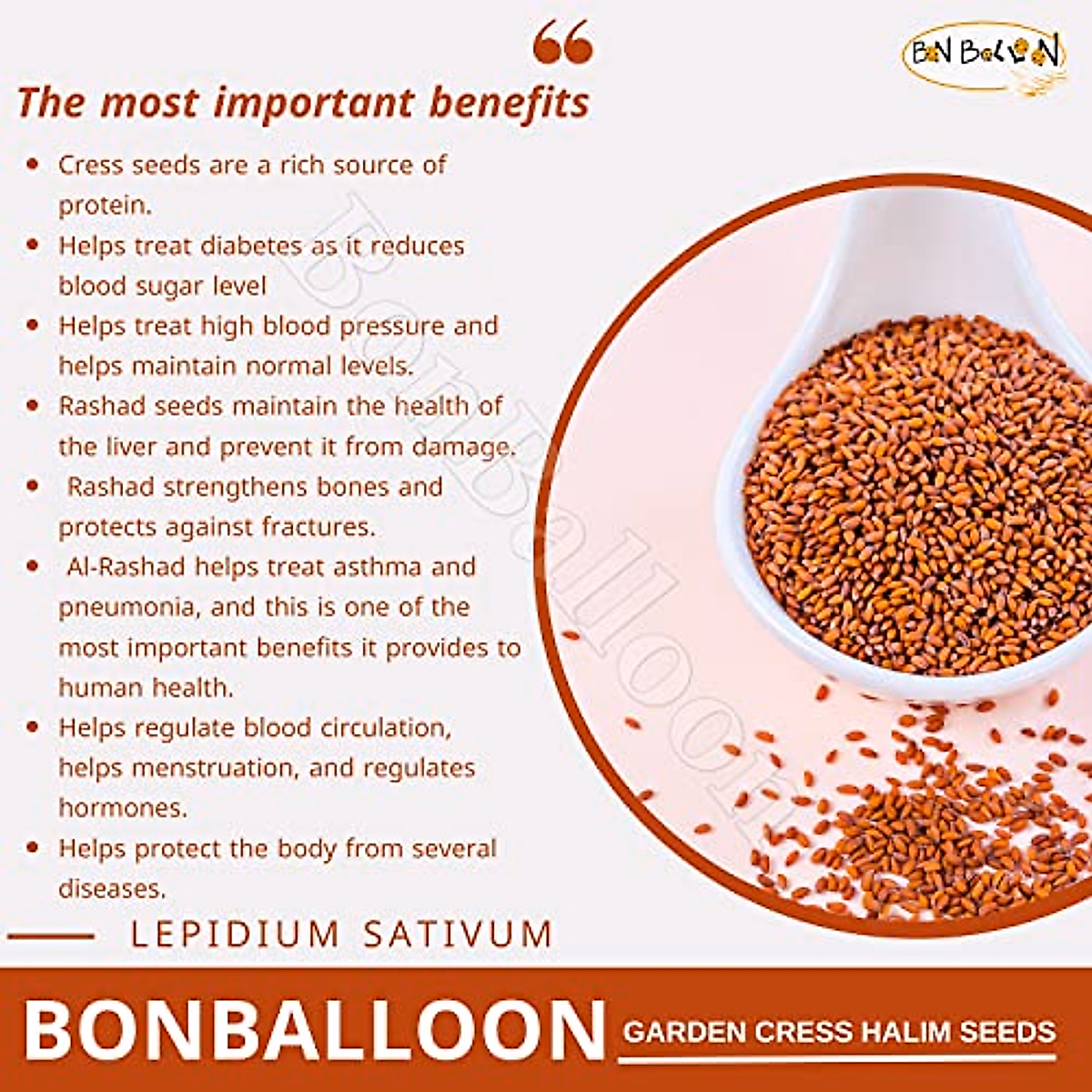 bonballoon (14 oz / 400 gm) Organic Herbal Garden Cress Seed Seeds Lepidium Sativum Halim Chandrashoor Chandrasur Cresson De Fontaine For Agriculture & Health حب الرشاد