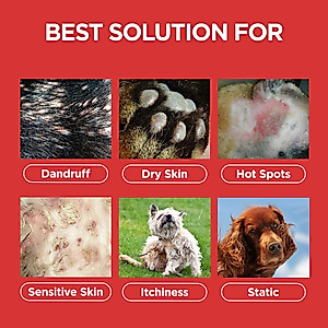 JAYU PET White Essence Mist - Dog Itch Relief, Hypoallergenic Soothing Spray, Dandruff & Dry Skin Spray (170ml, 5.8fl oz)