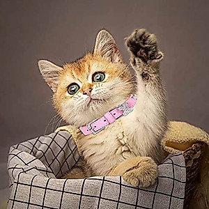 Dog Collar Leather Large Pet Bone Rhinestone Dog Collar Diamond Buckle Pet Leash Cat Collar