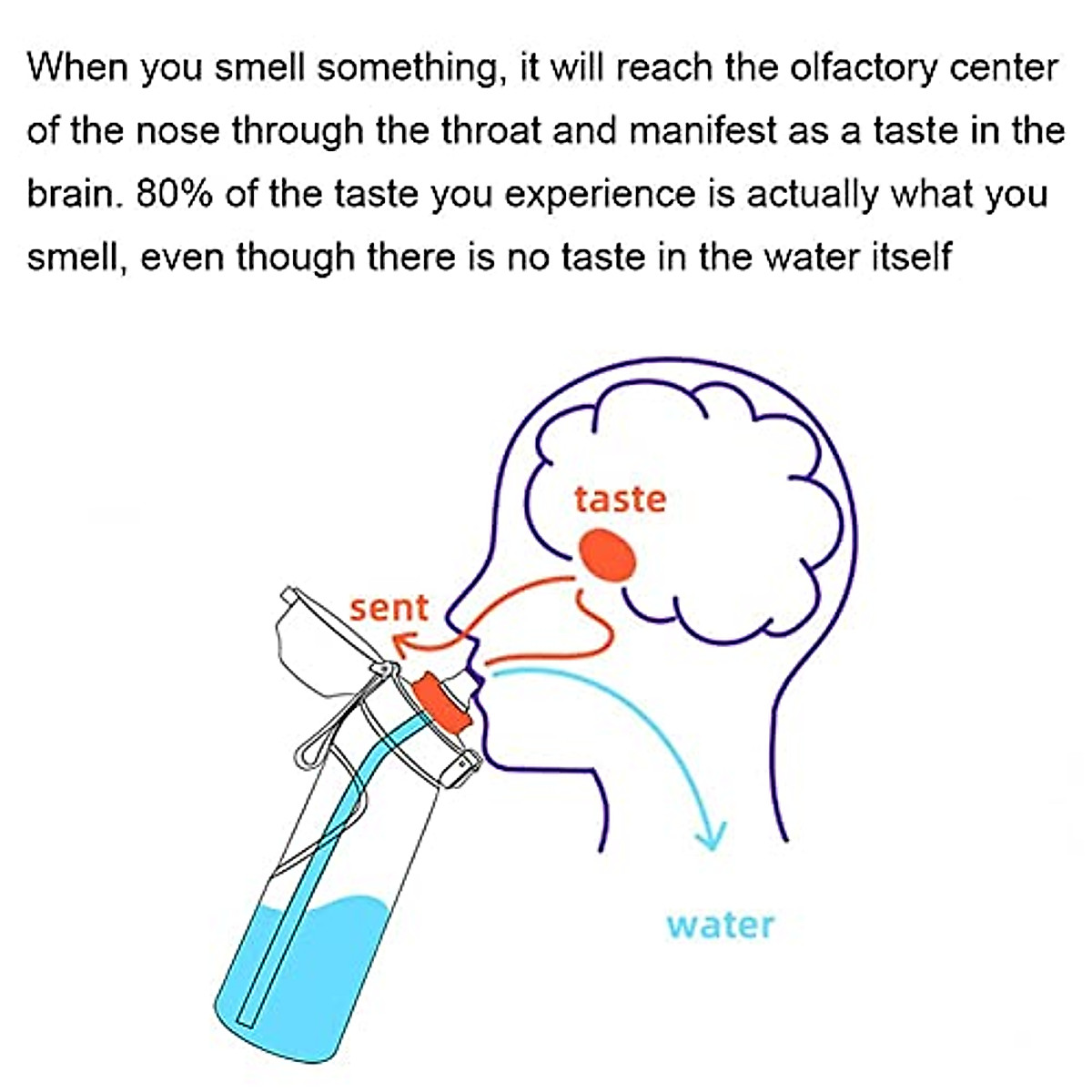 XinYuan 17 Pack Flavors Pod for Air Up Water Bottle,New Fruity Scented Water Bottle for Air Up Flavors Pod with Scented Accessory for Daily Exercise Boost Drinking Water