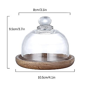 KVMORZE Mini Glass Dessert Dome with Base, Small Decorative Cake Tray with Glass Dome Cover, Cake Fruit Display Server Tray for Kitchen/Birthday/Party/Wedding, Appetizer Dessert Cheese Serving Platter