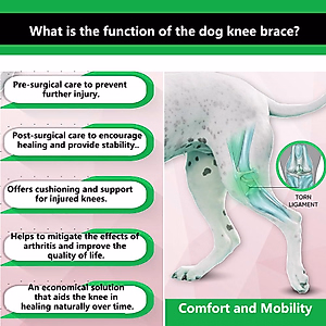 Premium Dog ACL Knee Brace for Torn ACL Hind Leg Support - Cruciate Care & Recovery, Adjustable Leg Braces for Back Leg, Hip Support - Small, Medium, Large Sizes with Extra Stabilizers (Black, L)