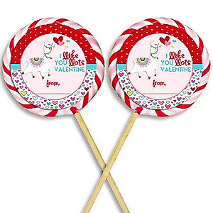 Like You Lots Llama-Themed Valentine Party Favor Sticker Labels, 40 2" Party Circle Stickers by AmandaCreation, Great for Classroom Valentines, Envelope Seals, Gifts & Treats