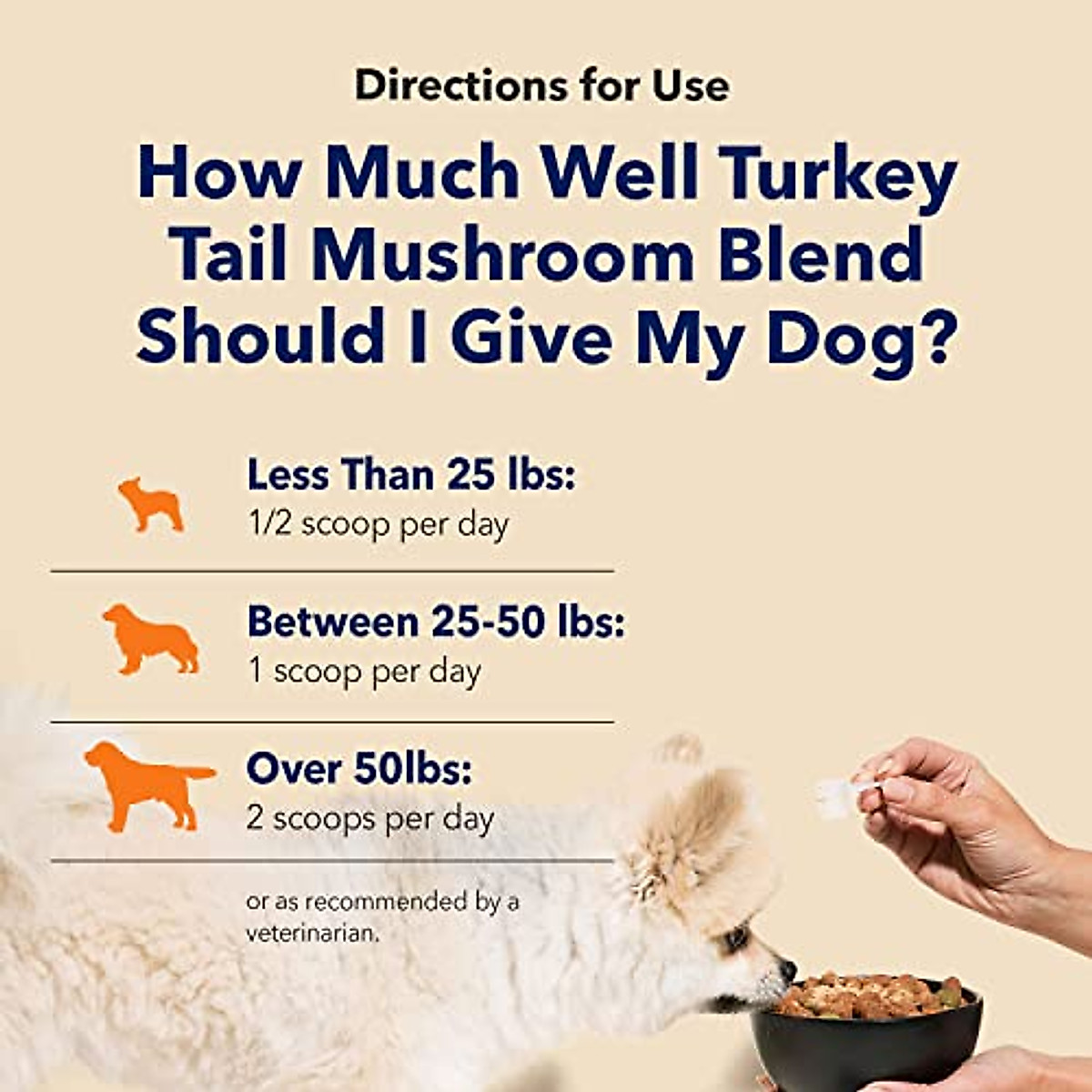 Honest Paws Dog Digestive and Immunity Booster – Turkey Tail Mushroom Blend - Shiitake, Reishi, Maitake Mushroom Extract Formula - No Filler, No Additives - (1.05 oz)