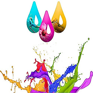 for Canon 210 and 211 Ink cartridges XL QUEENPRINT PG 210XL CL 211XL Ink Cartridges for Cannon PIXMA MP230 MP240 MP250 MP260 MP270 MP490 MP495 MX320 IP2700 IP2702 Printer(Black PG210, Color CL211)
