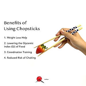 JapanBargain, Bamboo Chopsticks Reusable Japanese Chinese Korean Chopsticks Set Wood Chop Sticks Hair Sticks 5 Pair Gift Set Dishwasher Safe, 9 inch (1, Ivory/Blue)