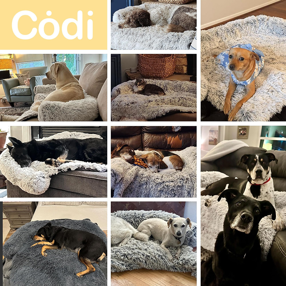 Codi Dog Bed for Couch - Calming Dogs Beds for Medium Pets, Fluffy Plush Cats Mat, Anti Anxiety Pet Mats with Removable Washable Cover Protector for Sofa, Light Grey, 35x31x5 inches