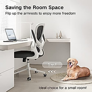 Hbada Ergonomic Office Chair Work Desk Chair Computer Breathable Mesh Chair with Adjustable Lumbar Support and Flip Up Arms, White