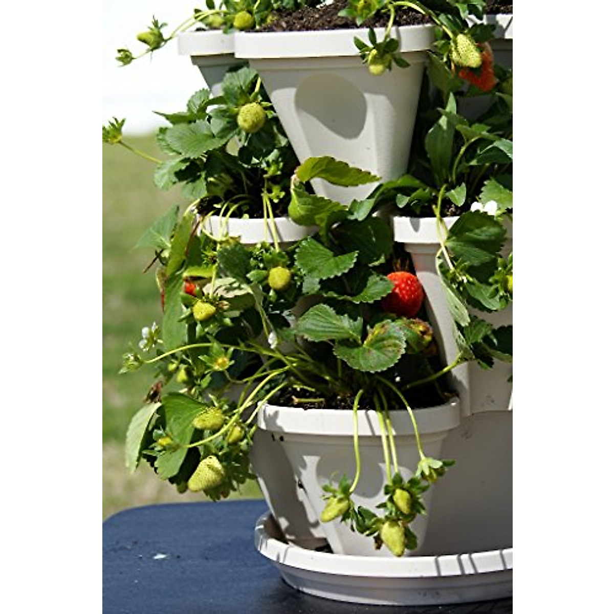 3 Tier Stackable Herb Garden Planter Set with Bottom Saucer - Stone Color - Vertical Container Pots for Herbs, Strawberries, Flowers