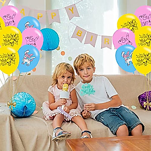 Aesthetic Evolutions Birthday Party Decoration,Aesthetic Evolutions Party Photo Background 5 x 3 FT and 18 Pcs Balloon