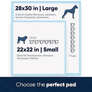 American Kennel Club Scented Puppy Training Pads with Ultra Absorbent Quick Dry Gel – 22 x 22 Pee Pads for Dogs - Fresh Scented - Pack of 100