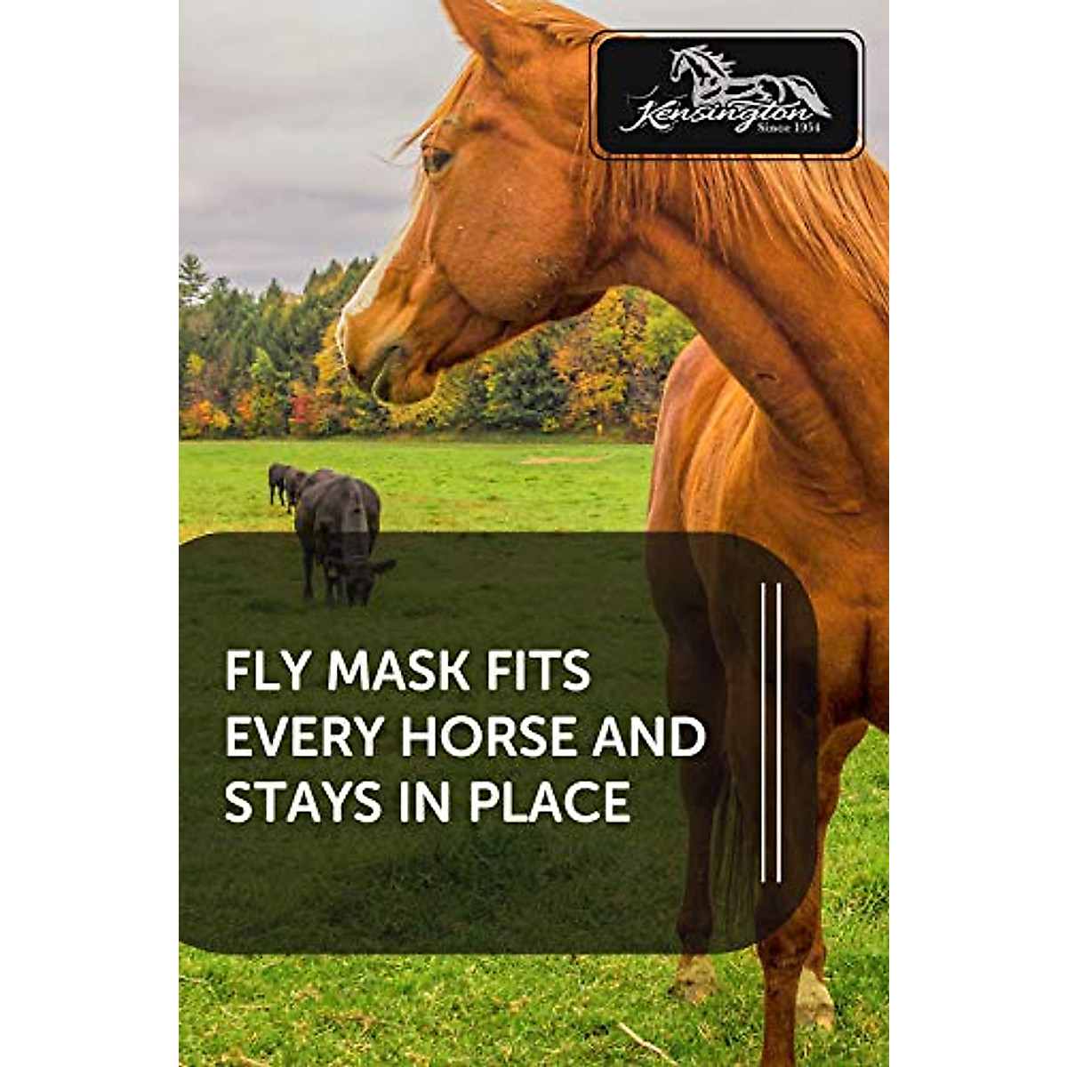 Kensington Fly Mask with Fleece Trim for Horses — Protects Face and Eyes from Flies and Sun Rays While Allowing Full Visibility — Breathable and Non Heat Transferring, Large, Lavender Mint