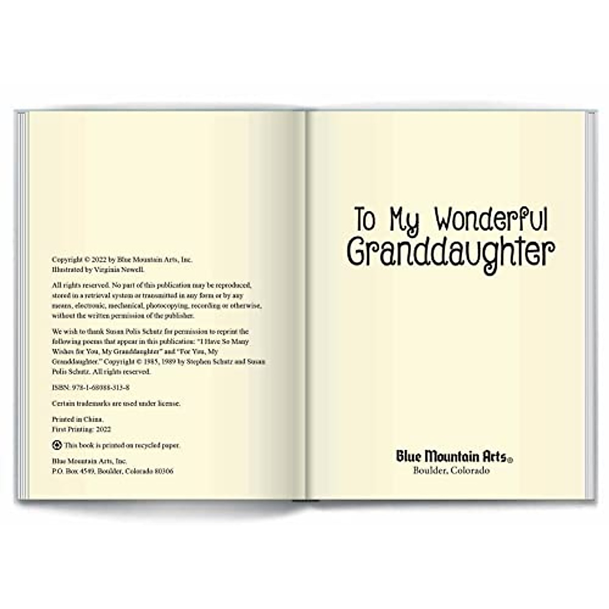 Blue Mountain Arts Mini Book (To My Wonderful Granddaughter)—Birthday, Holiday, Graduation, or Just Because Gift from a Very Proud Grandparent, 4 x 3 Inches