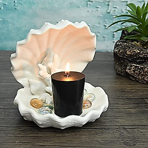 Zest Candle 12-Piece Votive Candles, Black