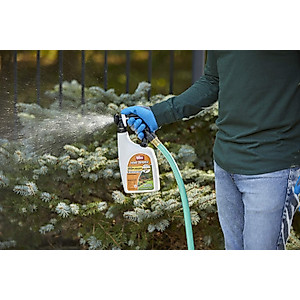 Ortho Home Defense Backyard Mosquito and Bug Killer Ready-To-Spray For Insects, 32 oz.