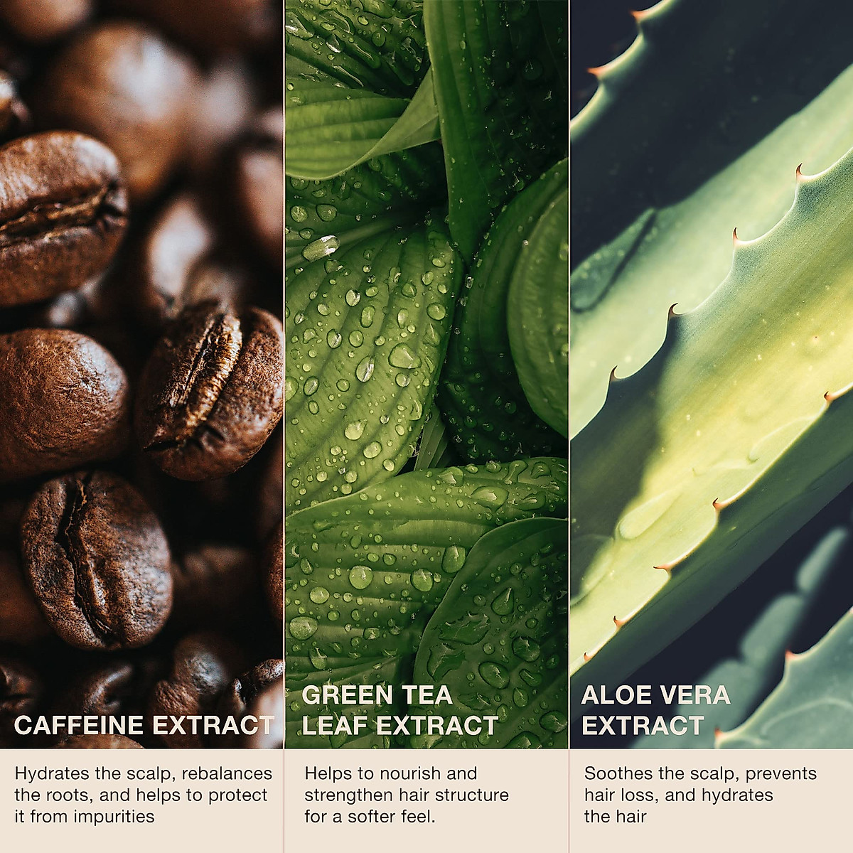 ikoo Talk The Detox Conditioner For Excessively Dry or Damaged Hair, Deeply Hydates, Made with Aloe Vera, Green Tea Extract & Caffeine, Cruelty Free, Vegan, Paraben Free, Travel Size - 3.4 Fl Oz