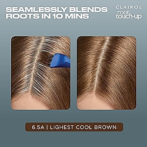 Clairol Root Touch-Up by Nice'n Easy Permanent Hair Dye, 6.5A Lightest Cool Brown Hair Color, Pack of 1