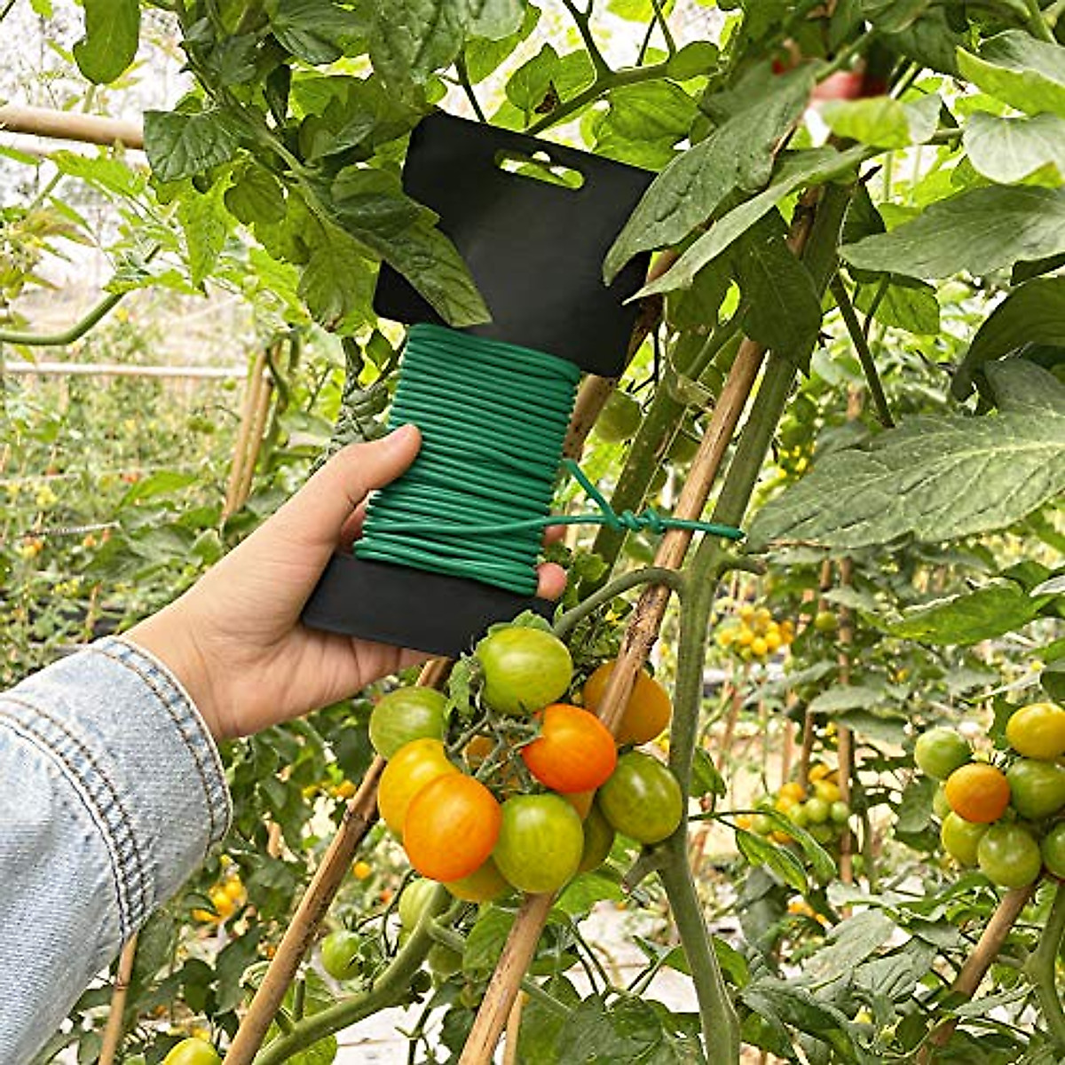 Tenn Well 3.5mm Garden Wire, 52 Feet Soft Plant Ties for Climbing Plants, Plant Training Wire for Tomato, Climbing Roses, Vines and Cucumbers (2PCS X 26 Feet, Green)