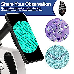 Microscope for Adults, 40~2000x Compound Monocular Microscope with Storage Bag, Slides, Phone Adapter-for School, Home Education, Science Lab