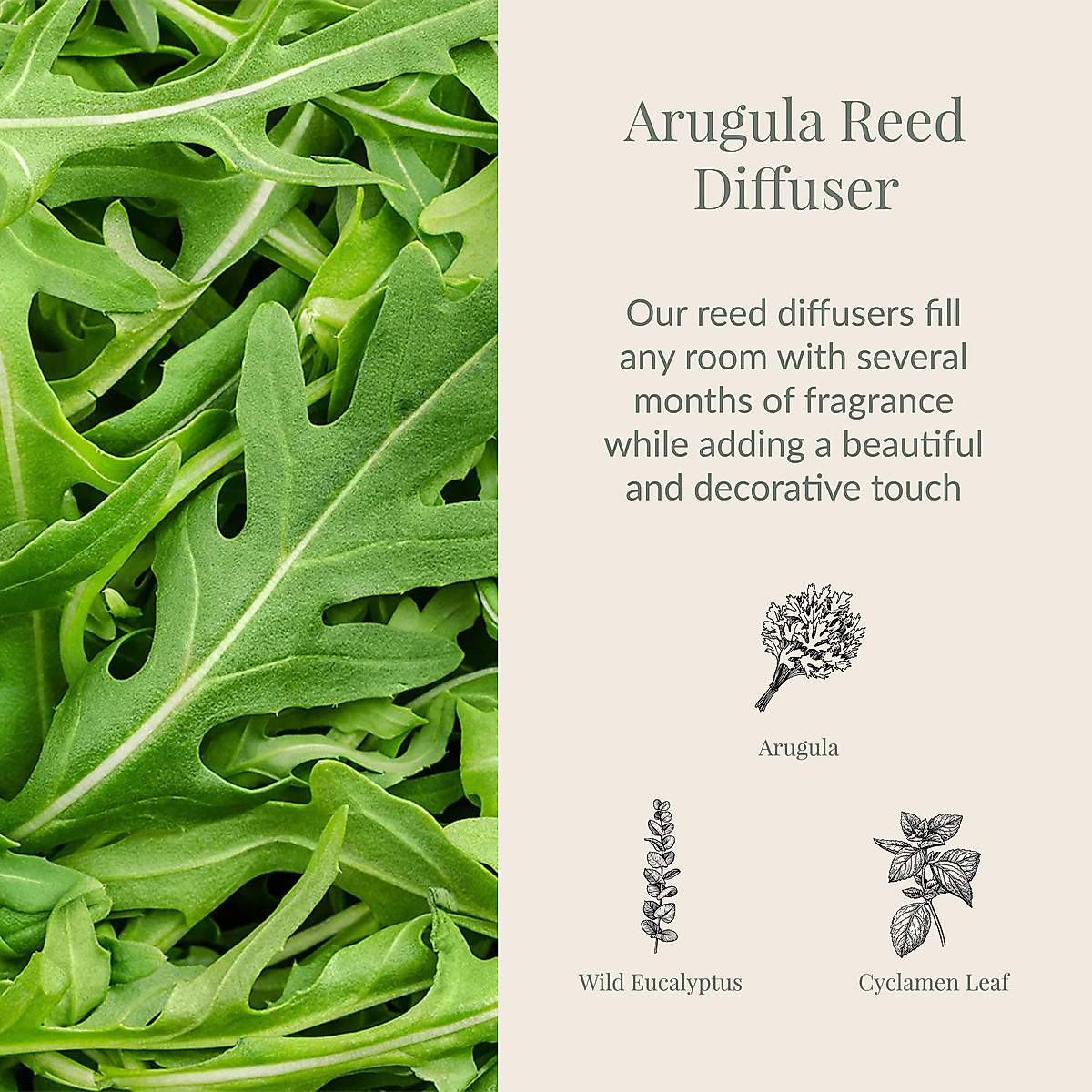 Archipelago Botanicals Arugula Reed Diffuser, Home Fragrance Reed Diffuser, Includes Fragrance Oil, Decorative Wooden Cap & 10 Diffuser Reeds, Perfect for Home, Office or Gift, 7.85 fl oz