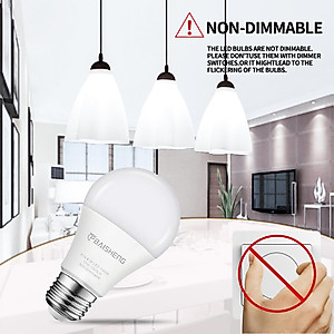 TPBAISHENG 15W LED Light Bulbs 100 Watt Equivalent, No Flicker, 1500 Lumens, 5000K Daylight Super Bright 100 Watt Equivalent Light A19 LED Bulb, Non-Dimmable, E26, CRI 85+, 30000+ Hours (2, 5000K)