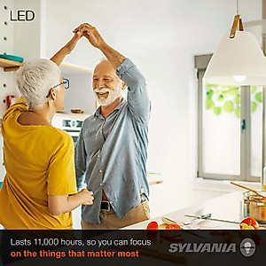 SYLVANIA LED Light Bulb, 40W Equivalent A19, Efficient 6W, Medium Base, Frosted Finish, 450 Lumens, Daylight ,2 Count (Pack of 1)