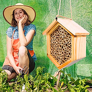 Mason Bee House Native Bee Hive Hexagon Bee House Natural Handmade Wooden Mason Bee Box Habitat Home Hotel with Bamboo Tubes -Attracts Peaceful Bee Pollinators to Enhance Your Garden's Productivity
