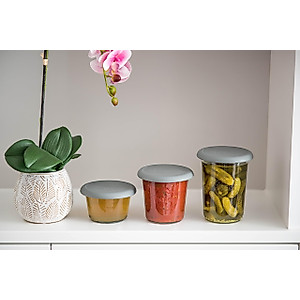 WECK 743 Mold Jar (Weck 743 // Silicone Lids)