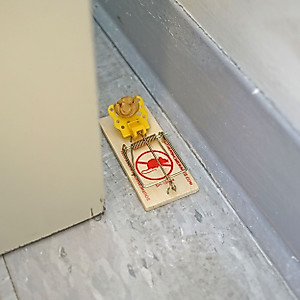 Snap Mouse Trap Spring Action with Expanded Cheese Shaped 24 Pack