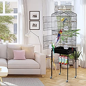 HCY Bird Cage Parakeet 64 inch Open Top Standing Parrot Accessories with Rolling Stand for Medium Small Cockatiel Canary Conure Finches Budgie Lovebirds Pet Storage Shelf, Black, 64x13x17 (Pack of 1)
