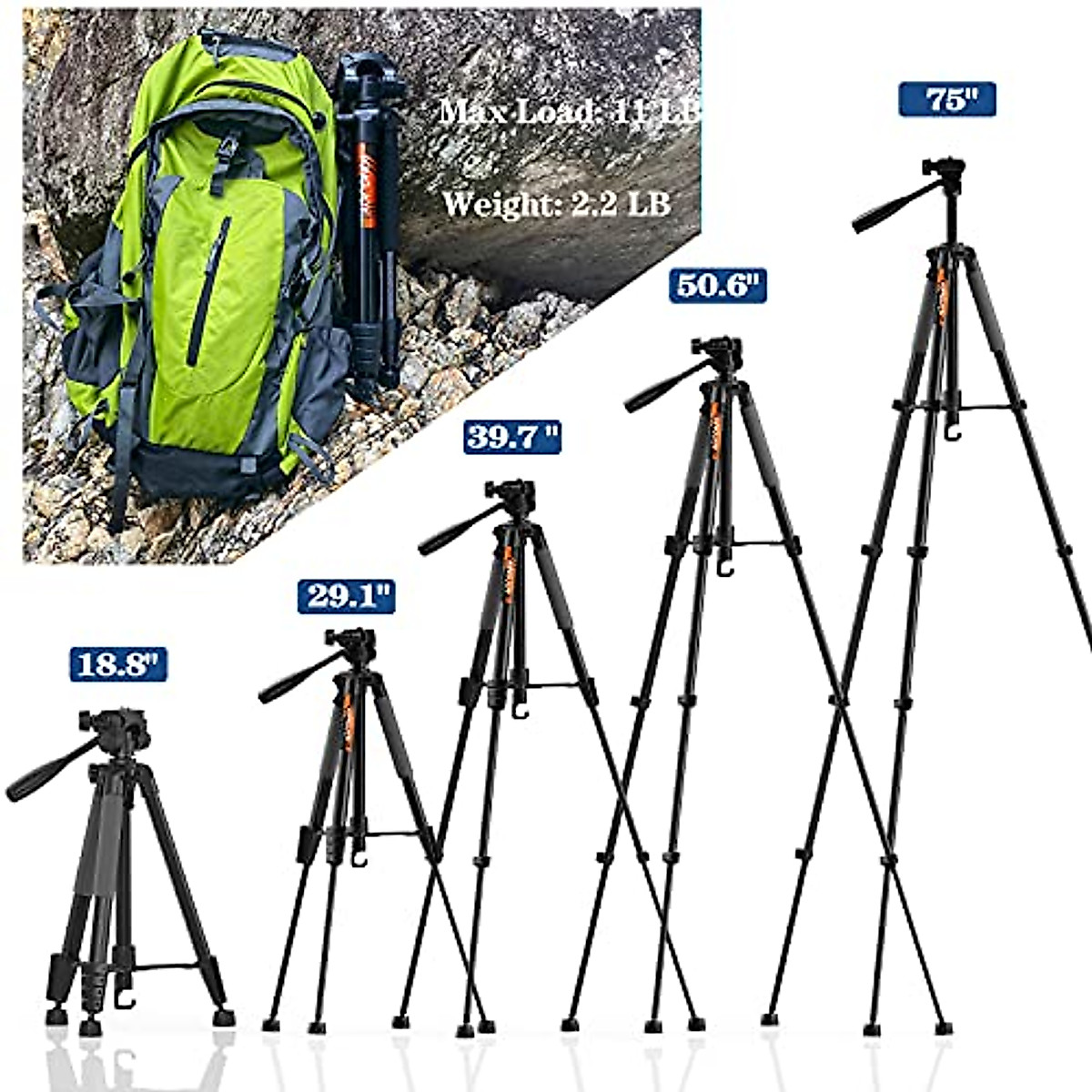 KINGJOY 75" Camera Tripod for Canon Nikon Cell Phone Tall Tripod with Wireless Remote Travel Bag Phone Tablet Holder Compatible with DSLR Cameras, Cell Phones, Projector, Binocular, Spotting Scopes