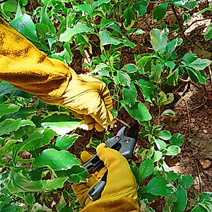 KINDE Gardening Gloves - Thorn Proof Cowhide Leather Rose/Blackberry Pruning Long Forearm Protection Gauntlet, Work Garden Gloves (YELLOW, Medium)