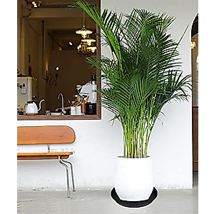 Bleuhome 4 Pack of 16 inch Plant Saucer (13.5" Base), Heavy Duty Plastic Plant Tray for Pots, Flower Water Trays for Indoors, Bird Bath Bowls, Plant Drip Saucers for Planter 14"/15"/16" (Black)