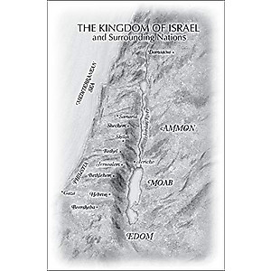 NIV, Holy Bible, Larger Print, Paperback